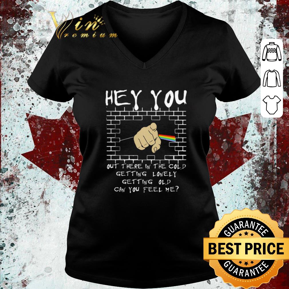 Nice Pink Floyd hey you out there in the cold getting lonely getting ...